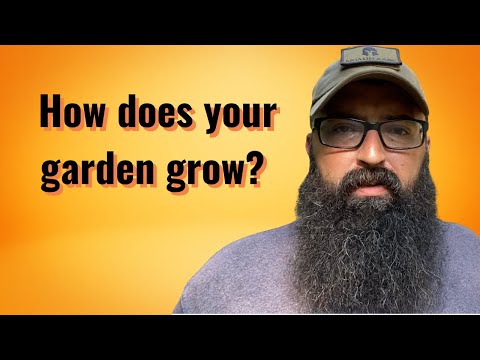 How Does Your Garden Grow?